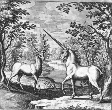 Homage to the Unicorn | symbolreader