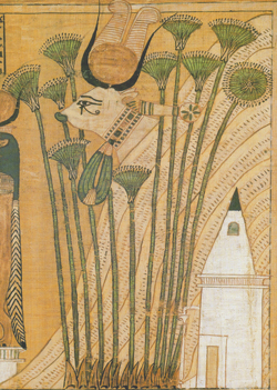 Hathor: the Exuberant Goddess of Abundant Life | symbolreader